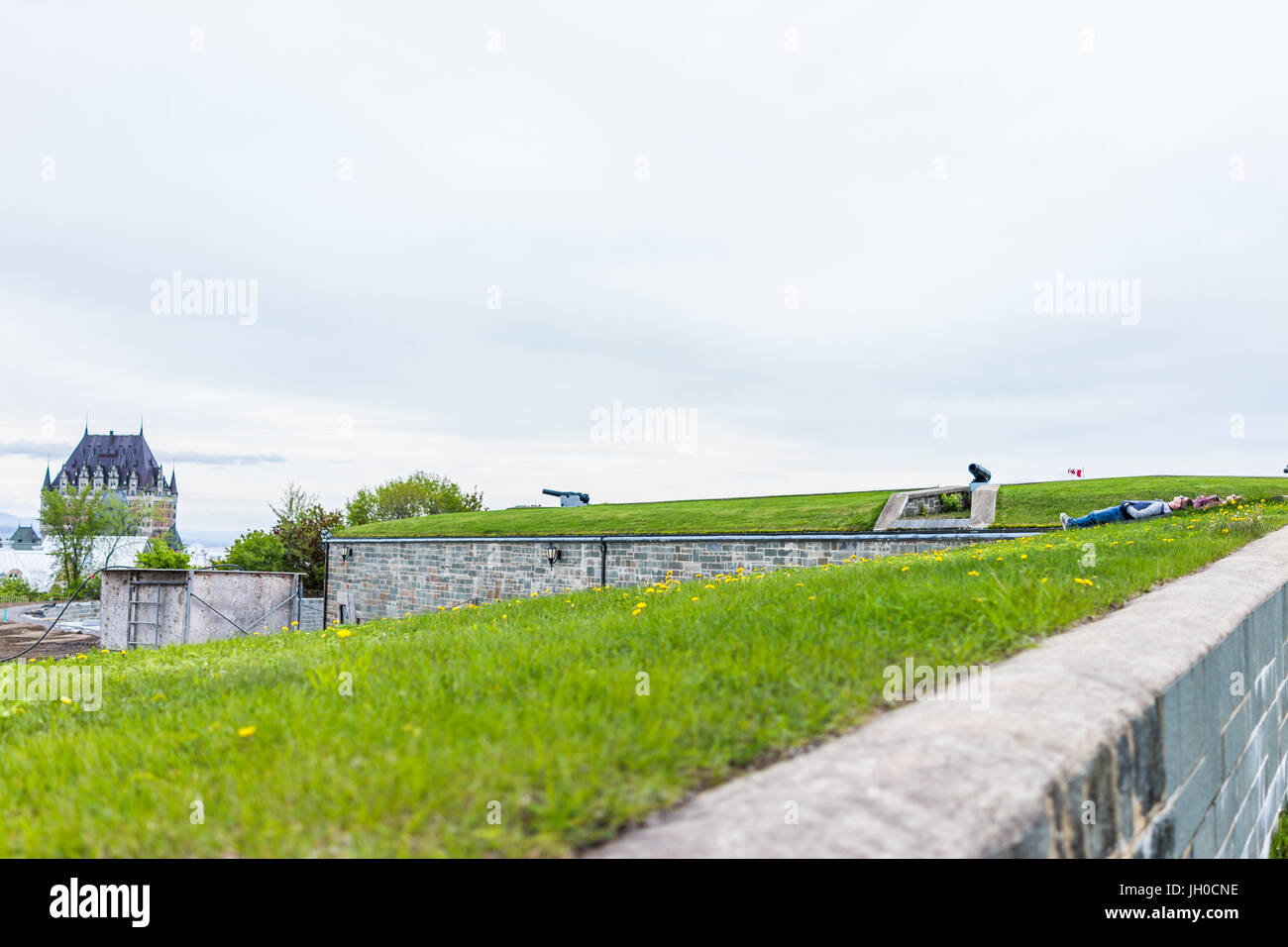 Wildflowers in quebec hi-res stock photography and images - Alamy