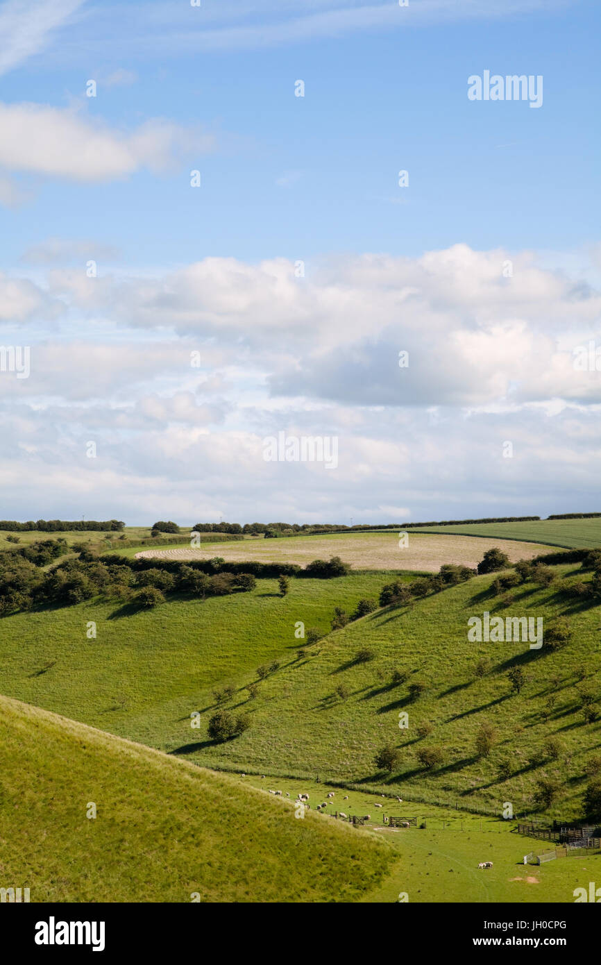 The typical Yorkshire Wolds valley of Thixen Dale Stock Photo - Alamy