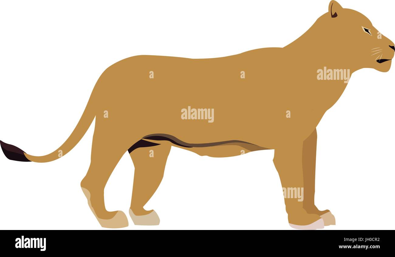 female lion african animal courageous creature Stock Vector Image & Art ...
