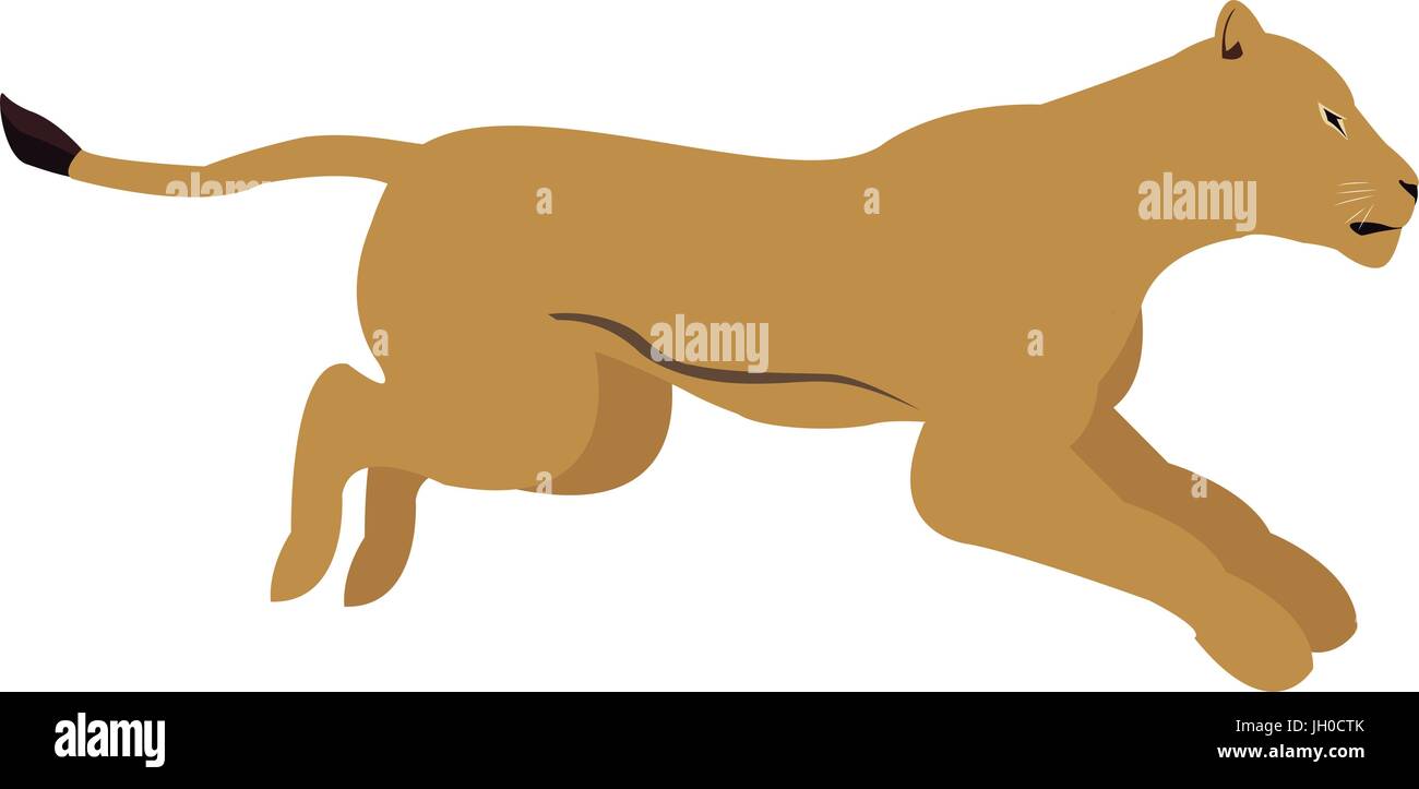 Female lioness standing Stock Vector Images - Alamy