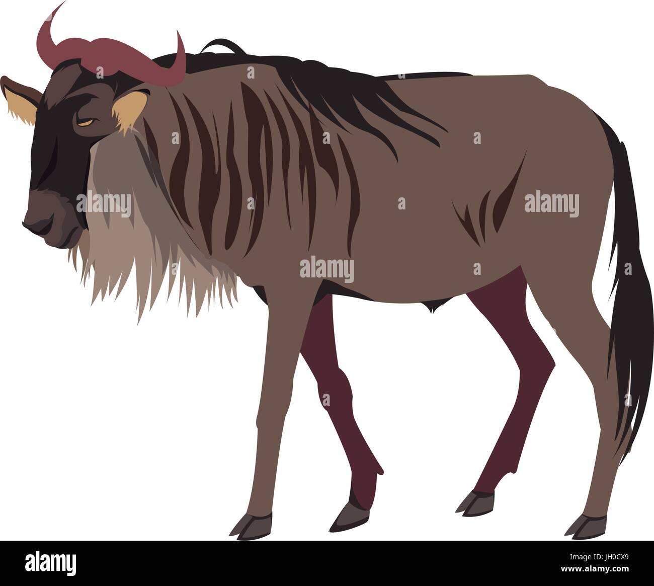 wildebeest standing african wildlife animal Stock Vector Image & Art ...