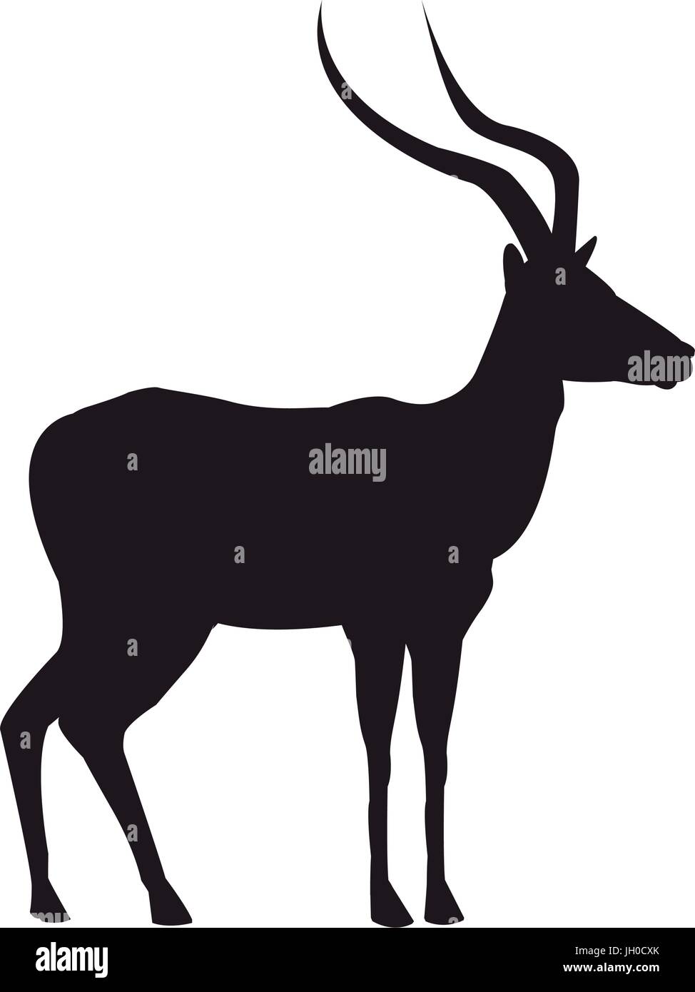 portrait of a standing impala africa mammal wild Stock Vector Image ...