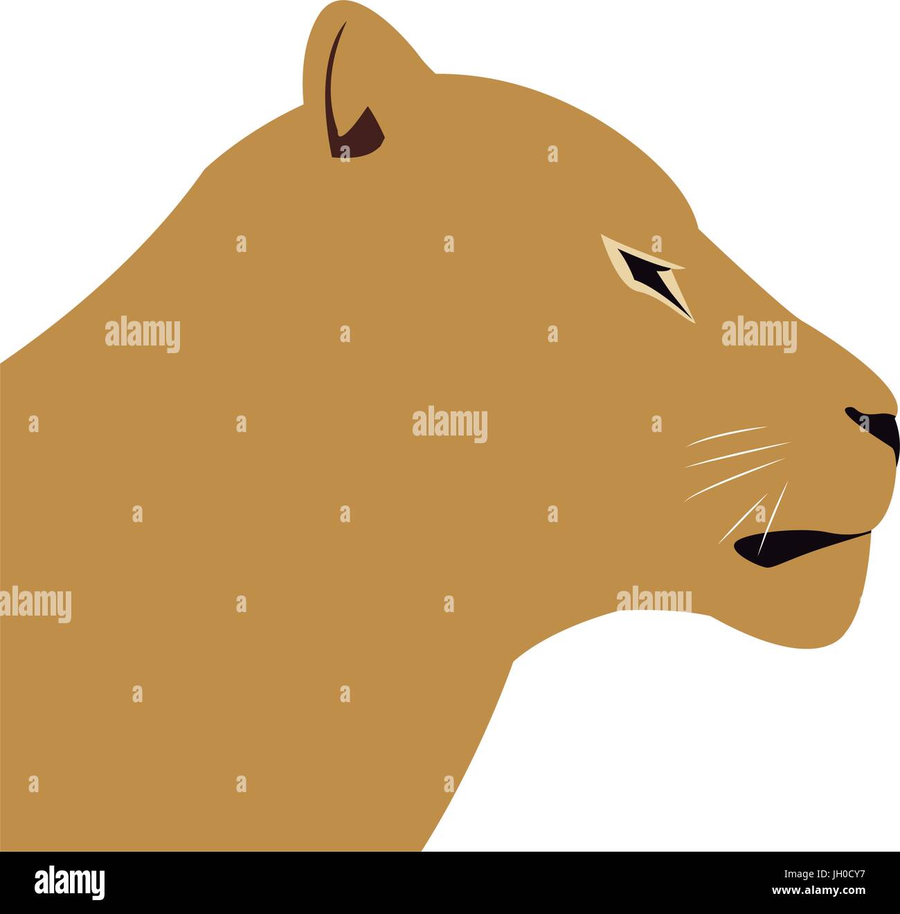 female head lion african animal courageous Stock Vector Image & Art - Alamy