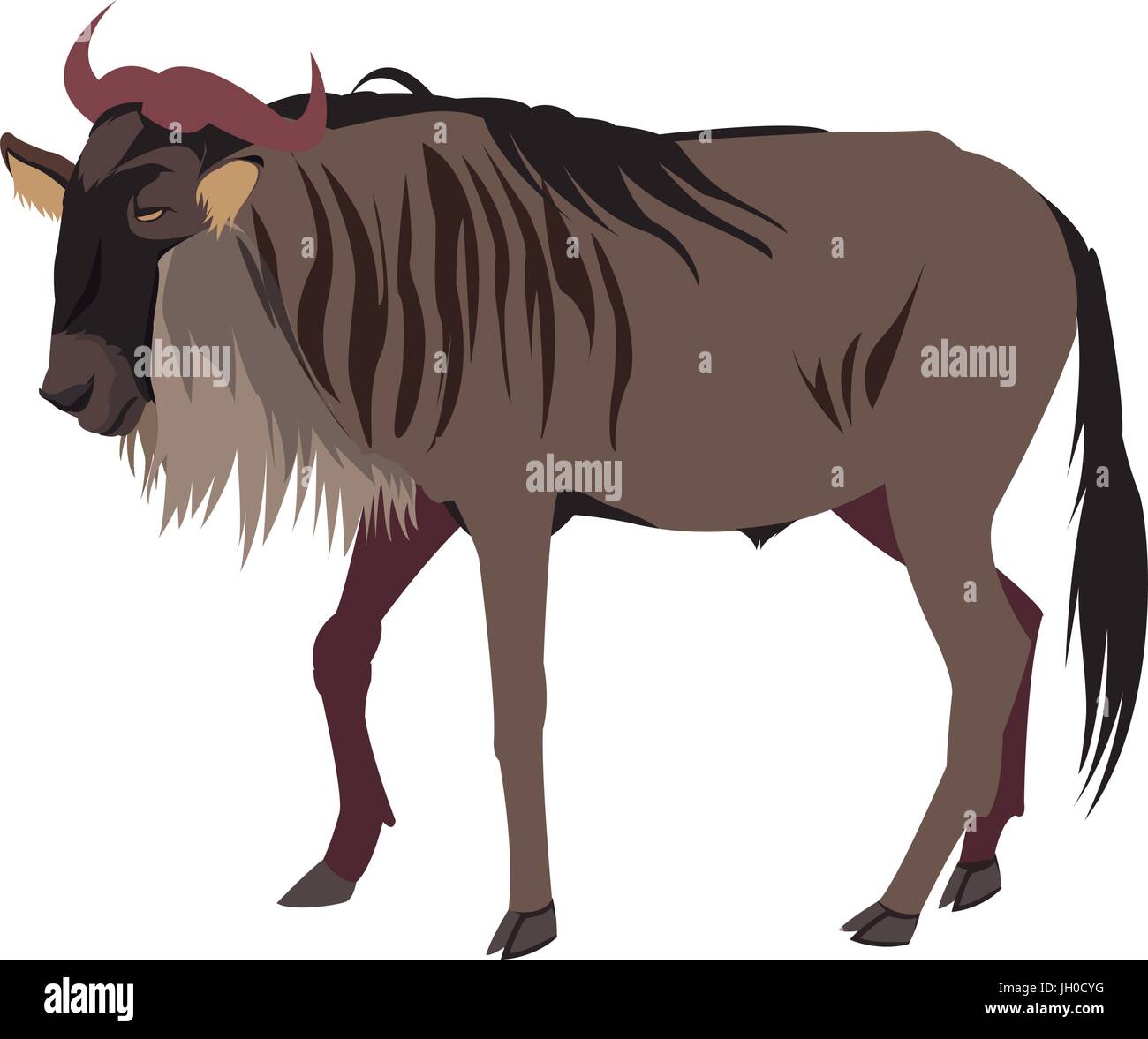 wildebeest standing african wildlife animal Stock Vector Image & Art ...