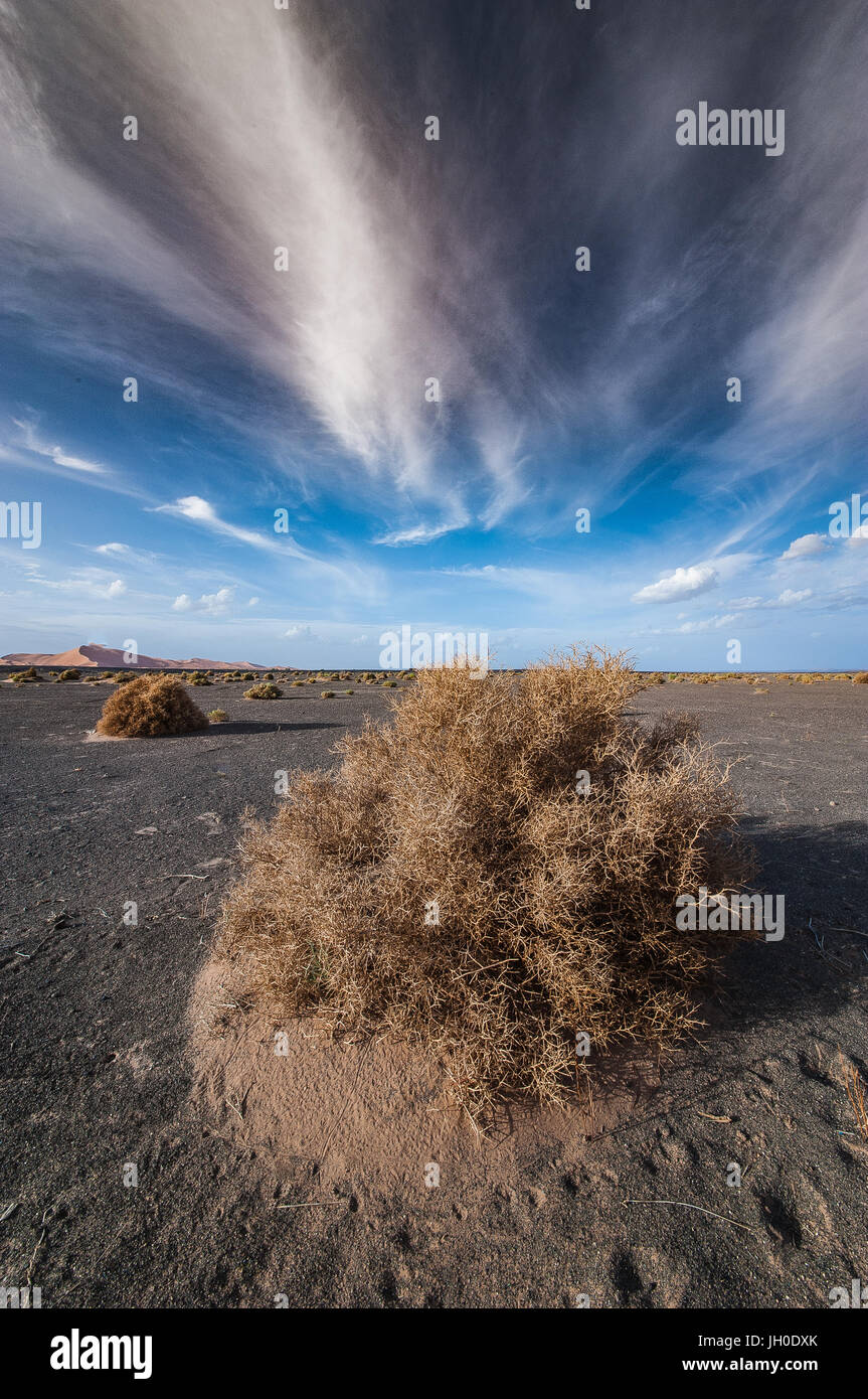 Black desert landscape hi-res stock photography and images - Alamy