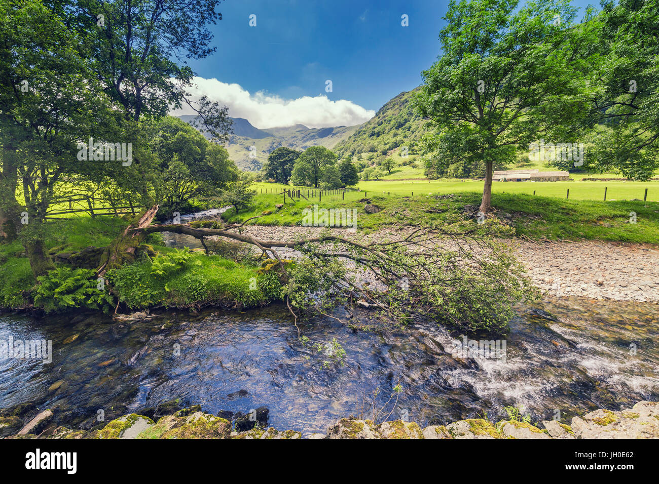 Dovedale Valley Creek in Lake District National Park Stock Photo - Alamy