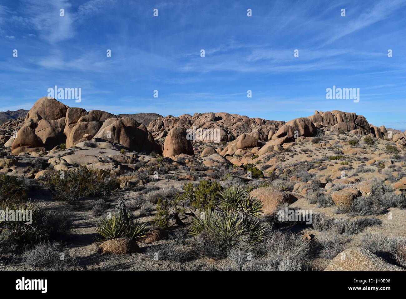 Boulders at Joshua Tree National Park Stock Photo - Alamy