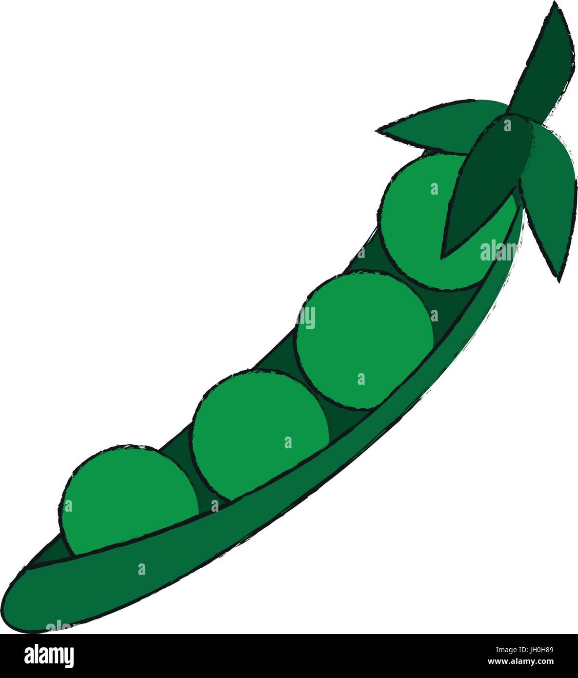 Peas in their pod Stock Vector Images - Alamy