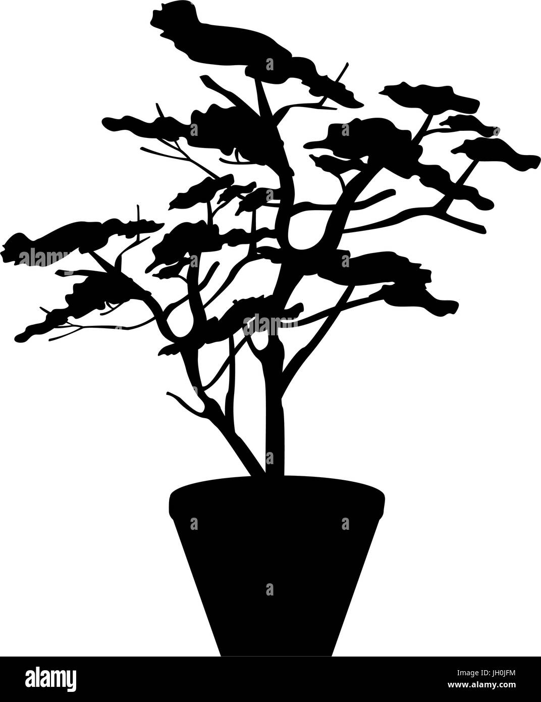 potted plant tree natural botanical Stock Vector Image & Art - Alamy