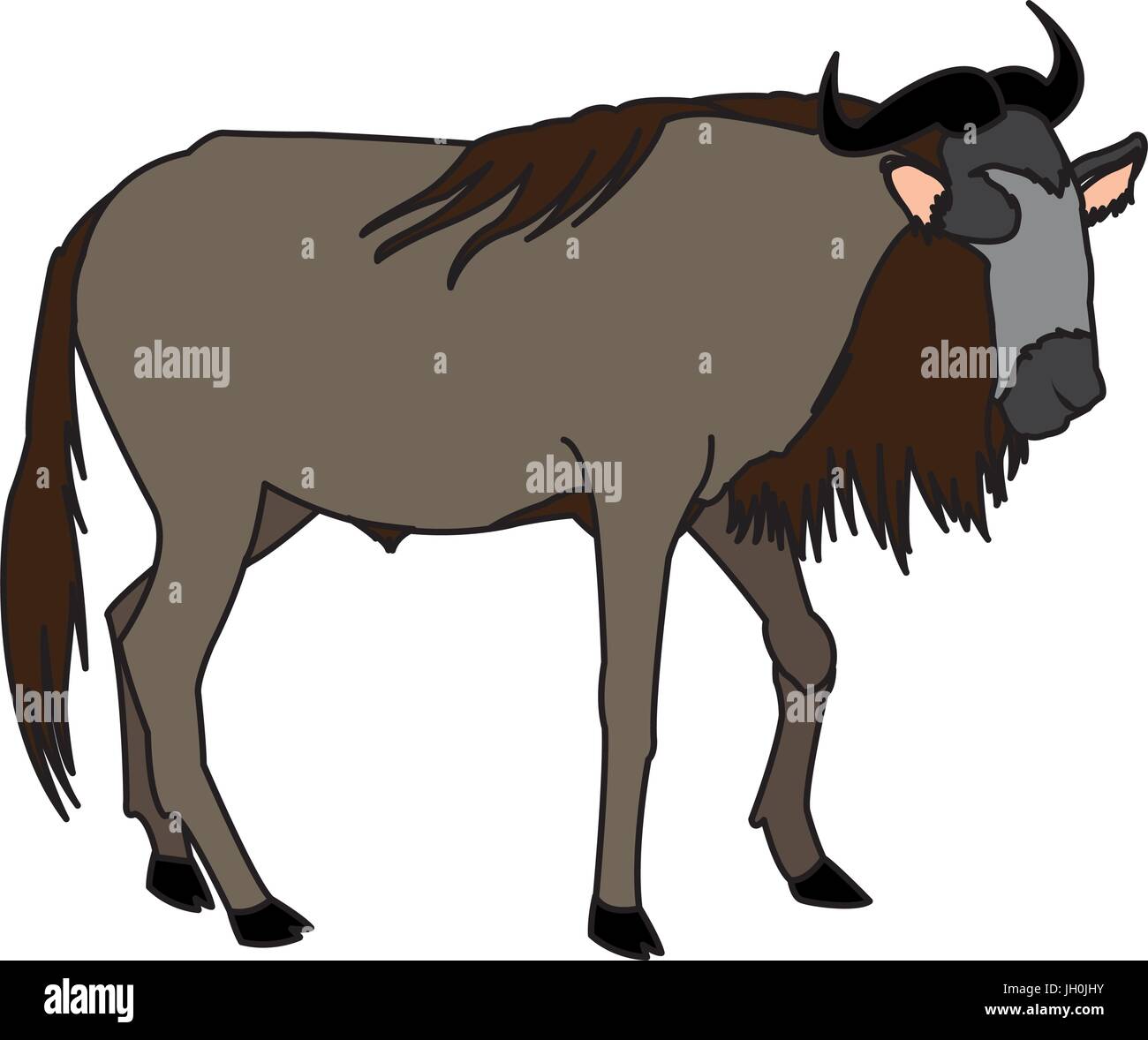 wildebeest standing african wildlife animal Stock Vector Image & Art ...