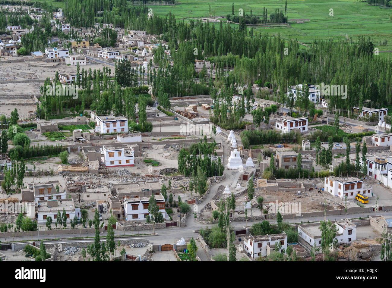 Green valley with a Tibetan village in Leh, Ladakh, India. Ladakh is ...