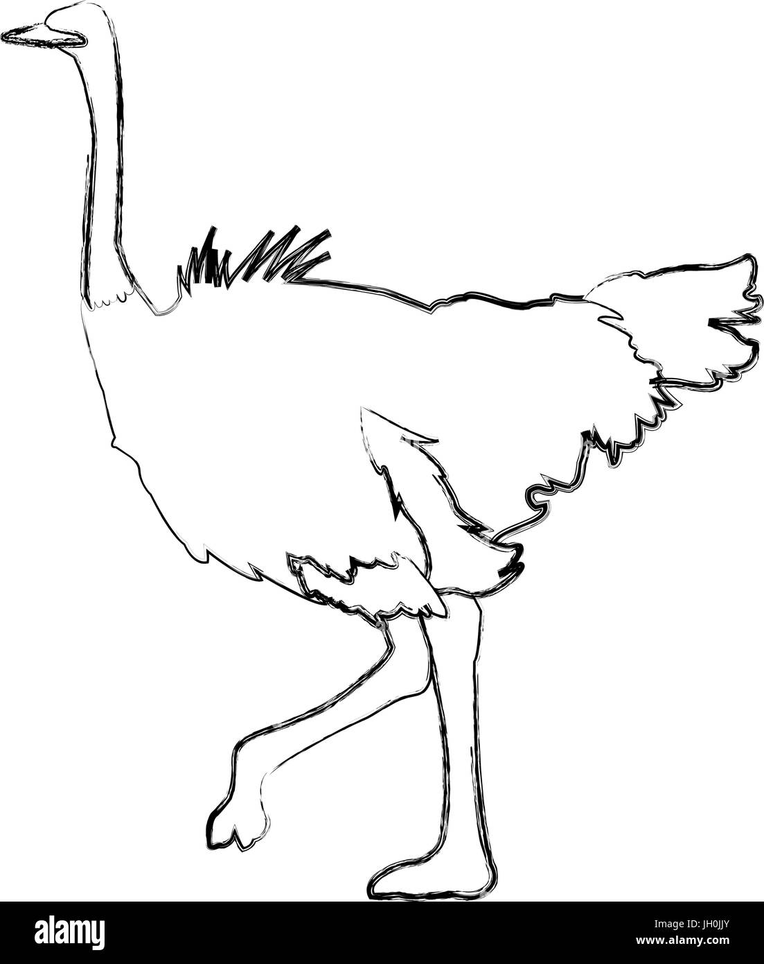 Big farm birds Stock Vector Images - Alamy