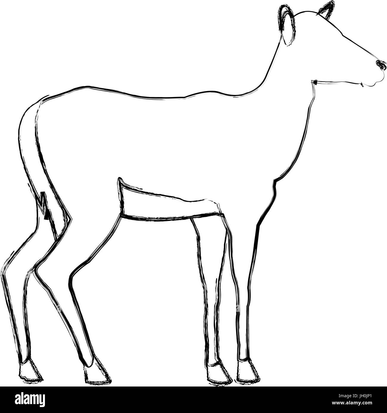 portrait of a standing impala africa mammal wild Stock Vector Image ...