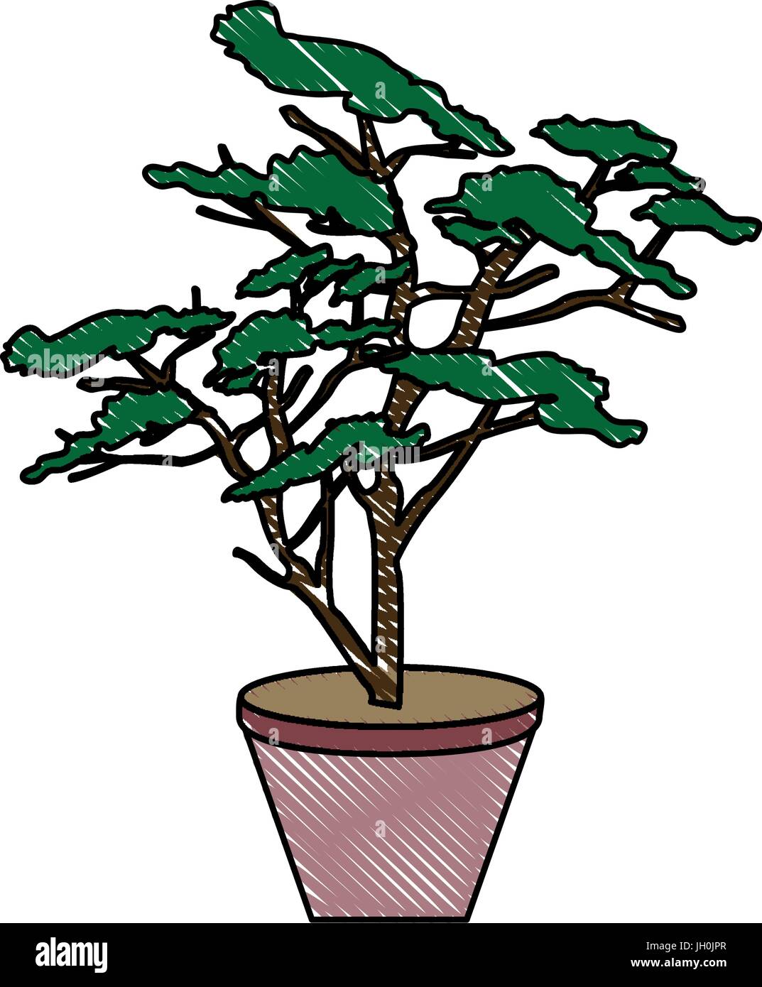 potted plant tree natural botanical Stock Vector Image & Art - Alamy