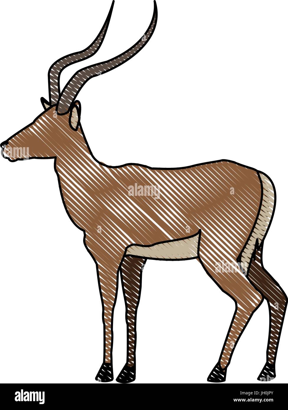 portrait of a standing impala africa mammal wild Stock Vector Image ...
