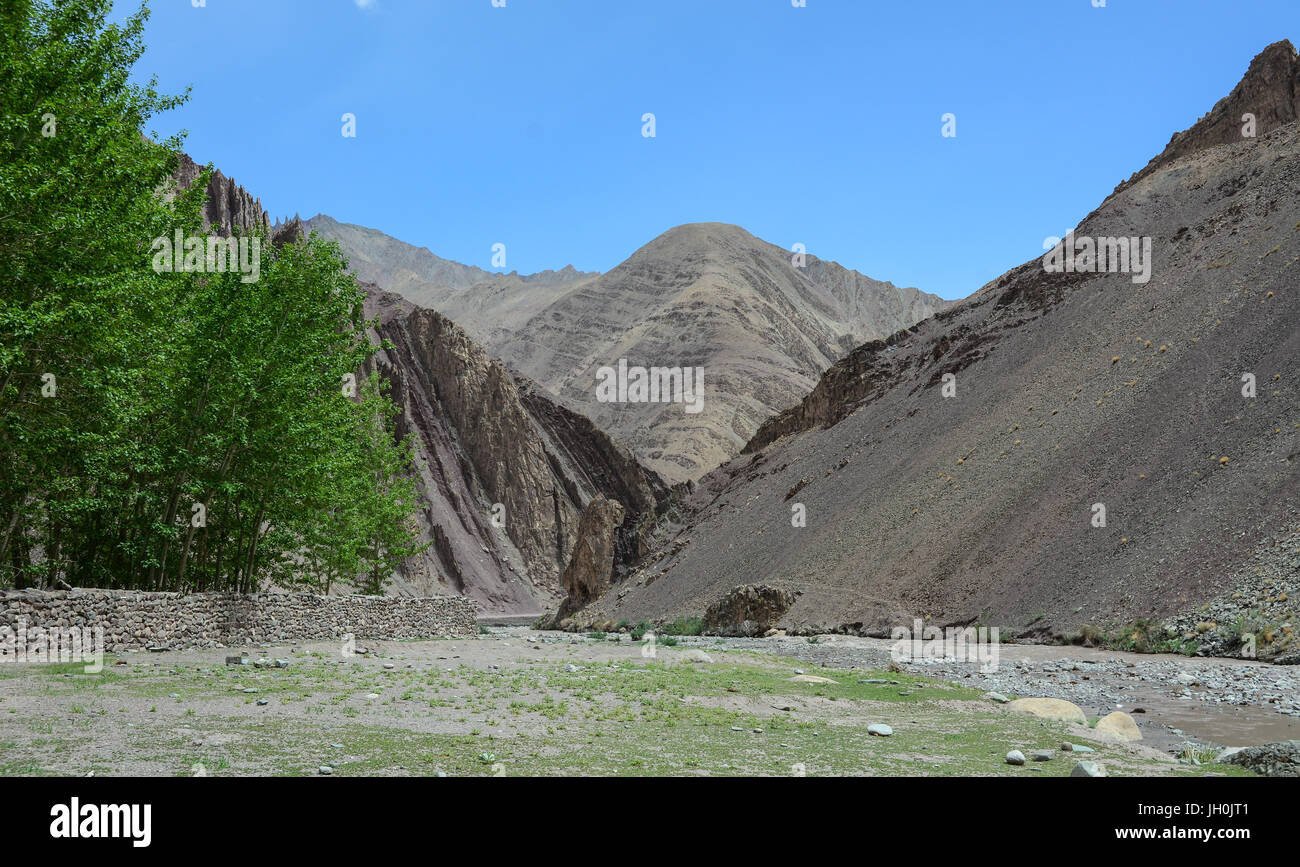 A valley with green trees in Leh, Ladakh, India. Ladakh is one of the ...