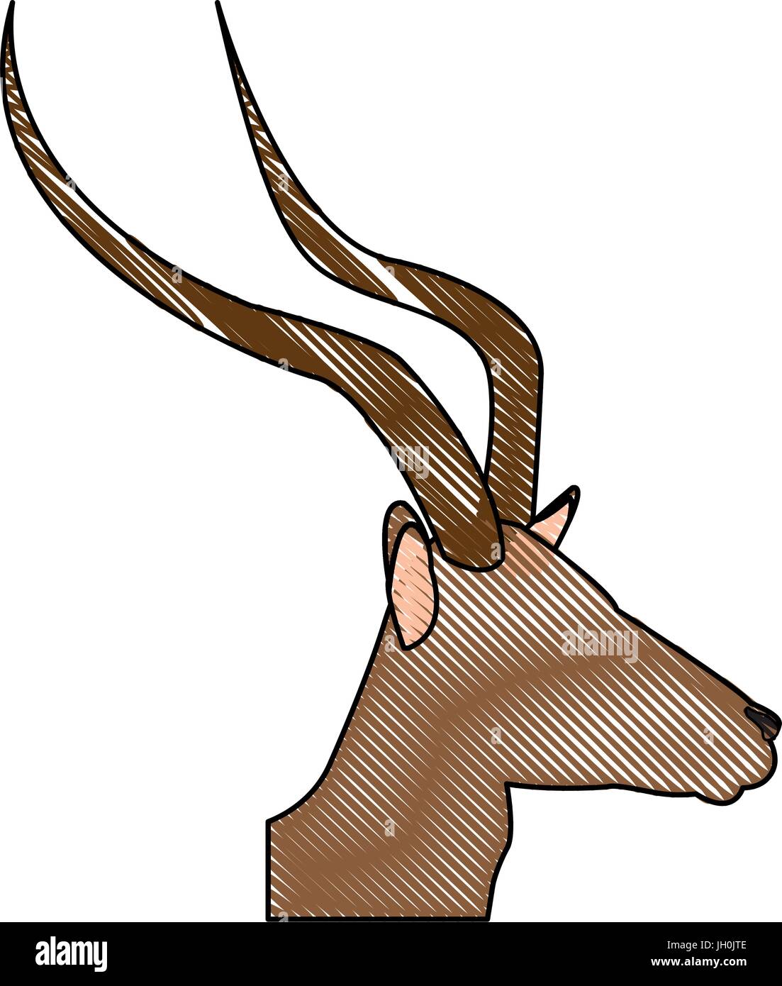 portrait head impala africa mammal wild Stock Vector Image & Art - Alamy