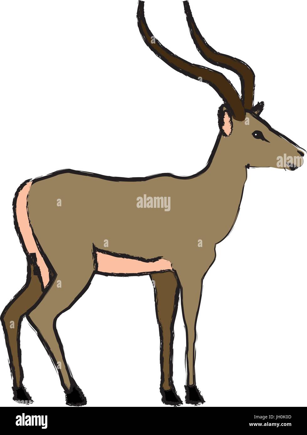 Impala Stock Vector Images - Alamy