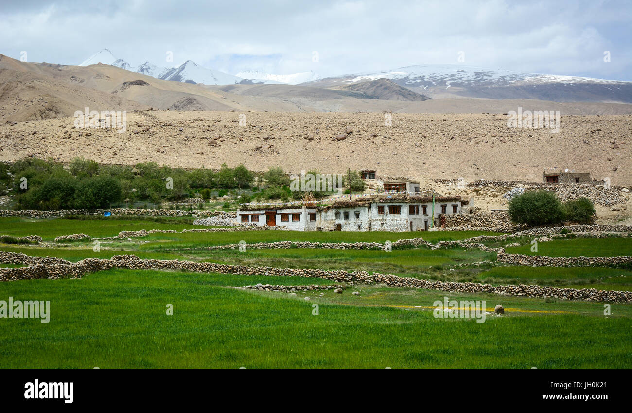 Green valley with Tibetan traditional houses in Leh, Ladakh, India ...