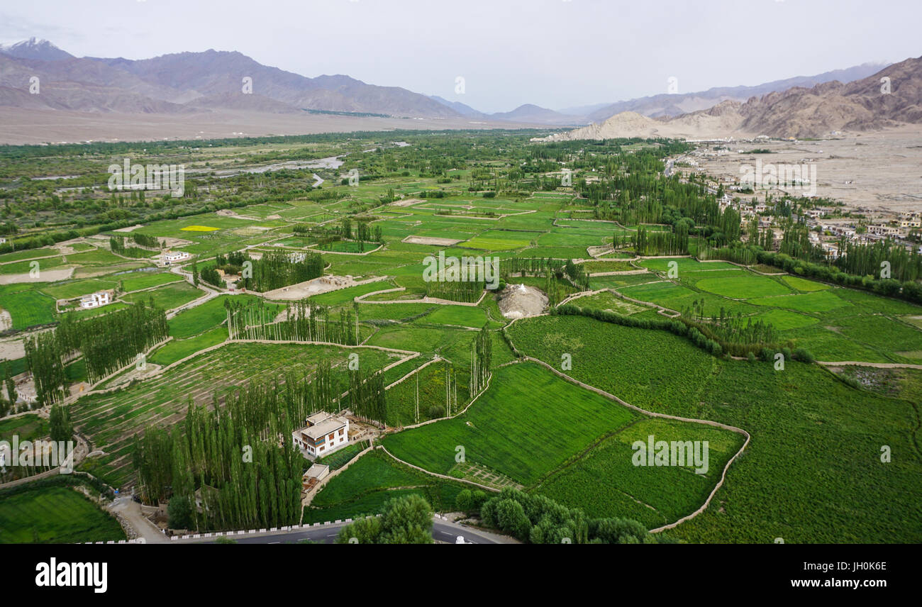 Green valley with small village in Ladakh, India. Ladakh is the highest ...