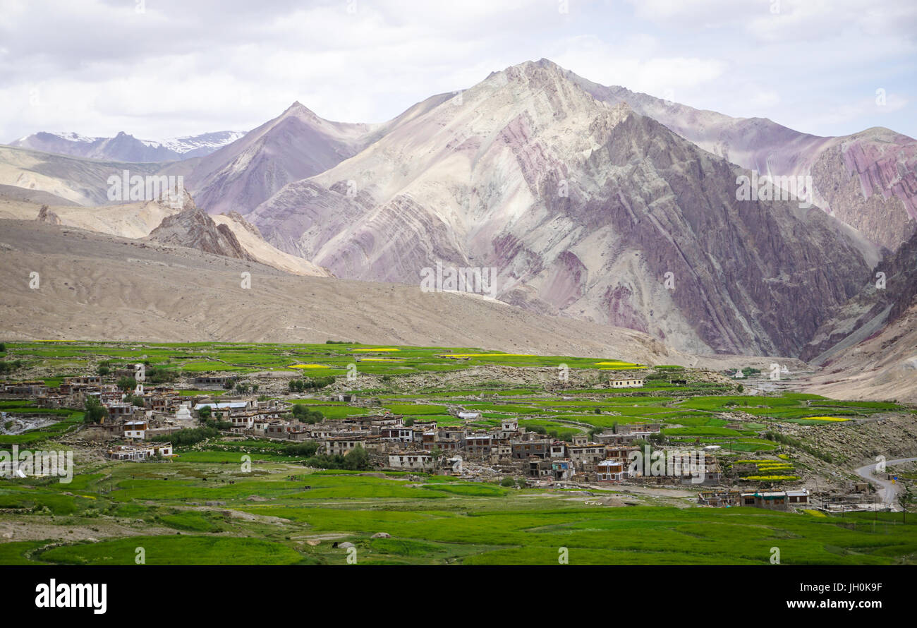 A Tibetan village at green valley in Ladakh, India. Ladakh is the ...