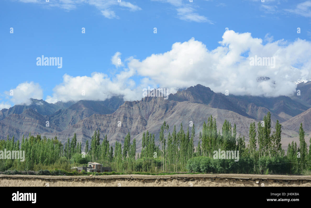 Mountain scenery with a green valley in Leh, Ladakh, India. Ladakh is ...