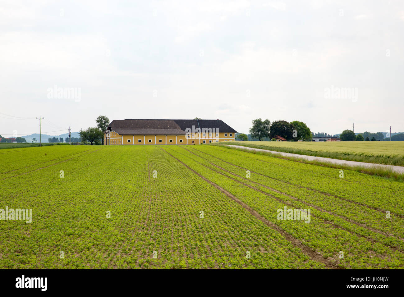 Vierkanthof im Hausruckviertel, in der Nähe von Steyr, Oberösterreich ...