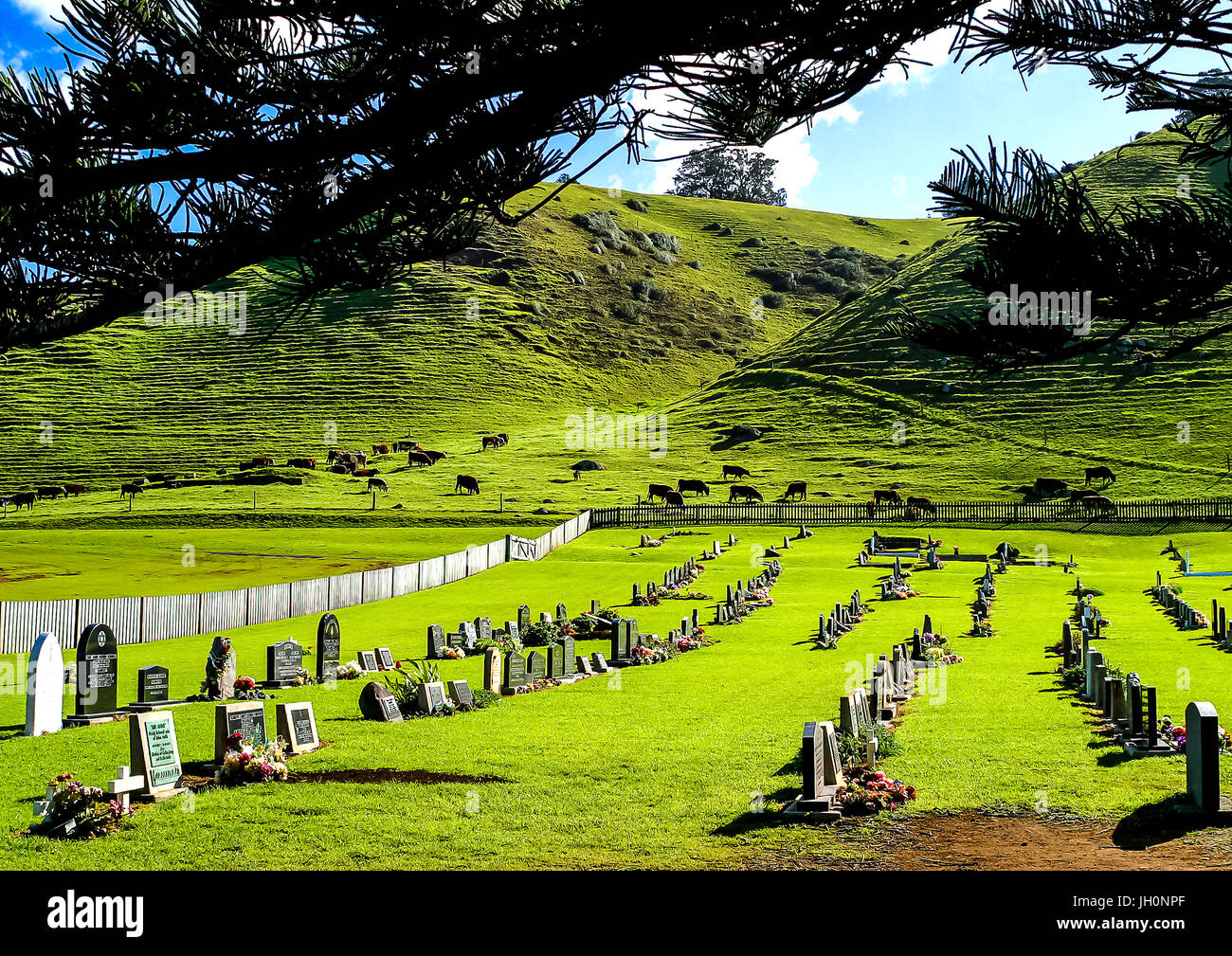 Kingston Cemetery on shores of Cemetery Bay on Norfolk Island Stock ...