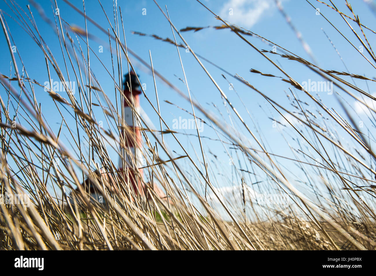 Blurred grass foreground hi-res stock photography and images - Alamy