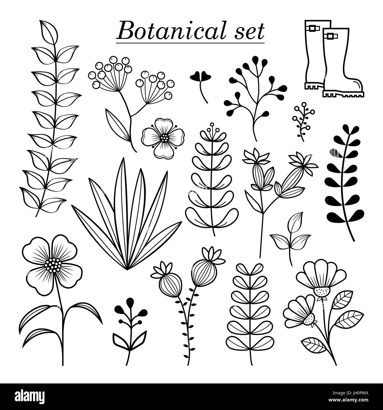 Botanical herbs illustration hi-res stock photography and images - Alamy
