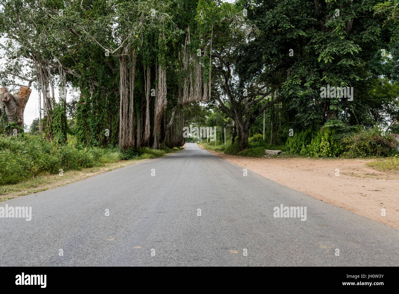 On the way to Kodagu ( Coorg ) , Karnataka, India Stock Photo - Alamy