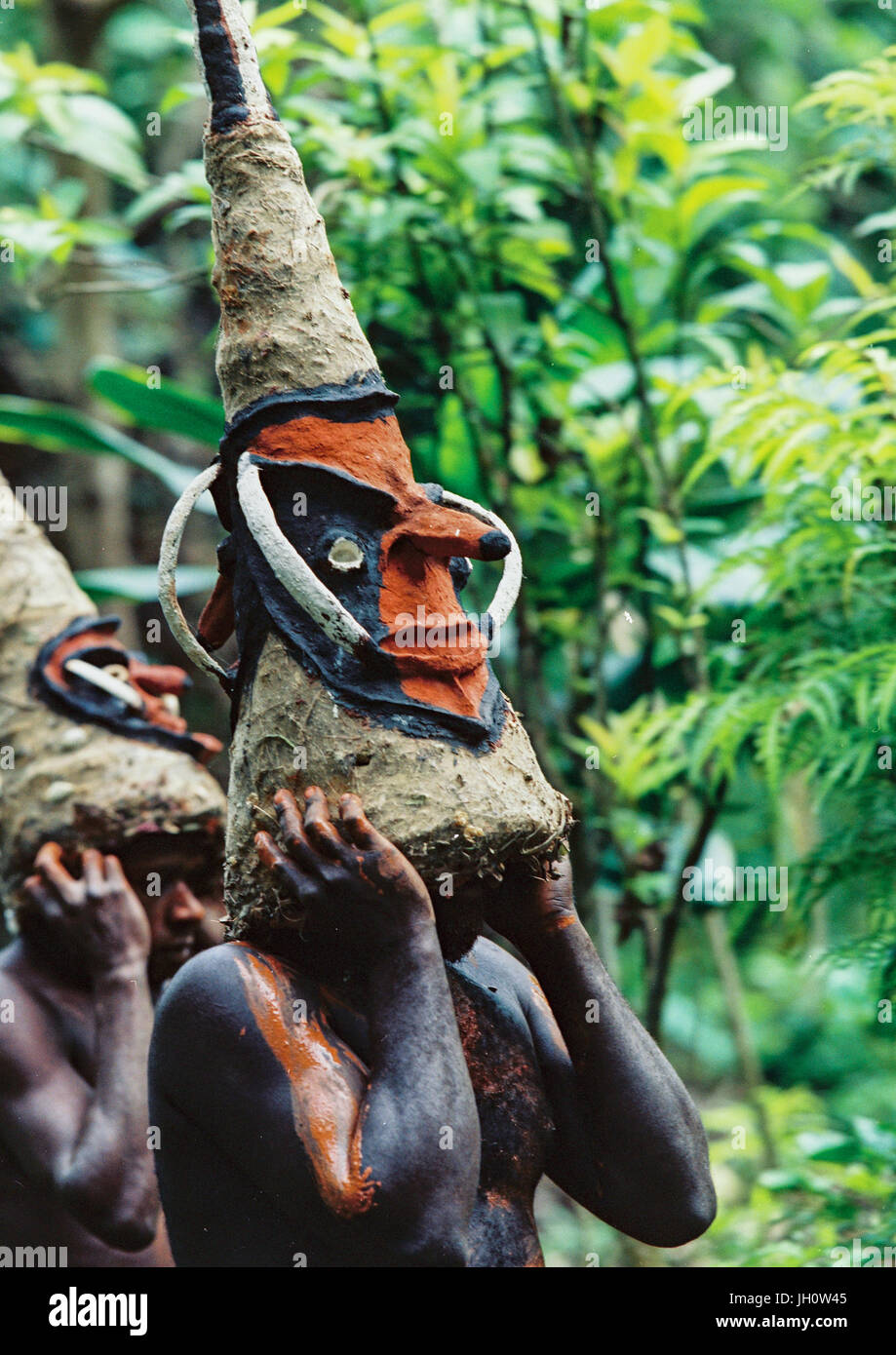 Tribesmen dancing in the jungle with helmet masks for a circumcision ...