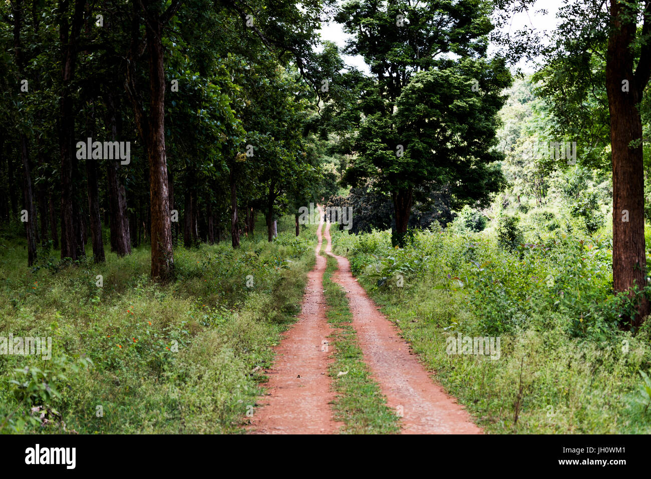 Nagarhole national park hi-res stock photography and images - Alamy