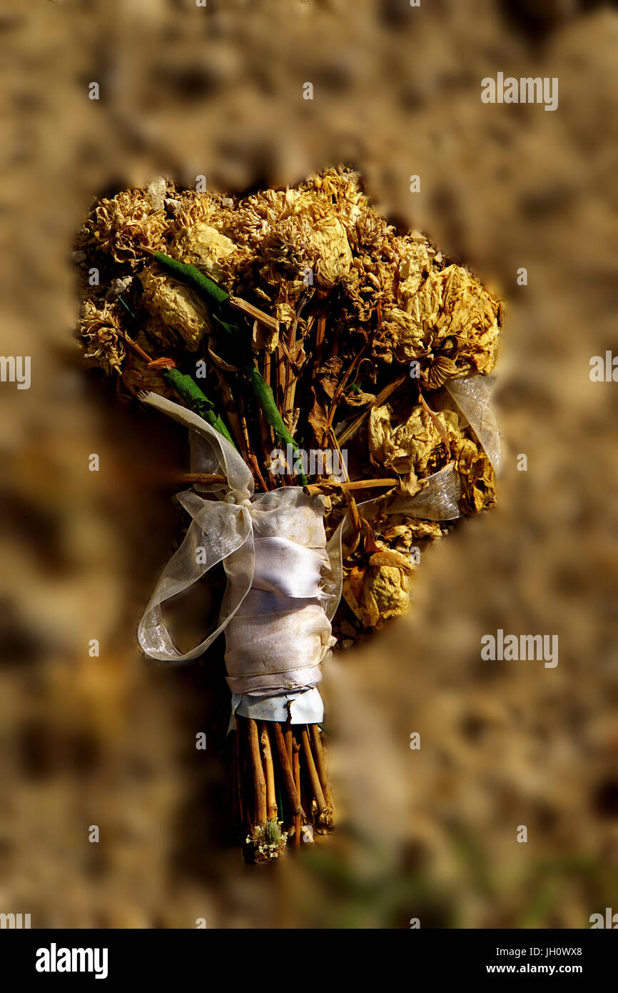 Potpourri flowers hi-res stock photography and images - Alamy