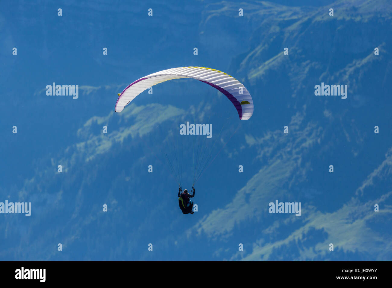 one person paragliding in the mountains, forests, meadows Stock Photo ...