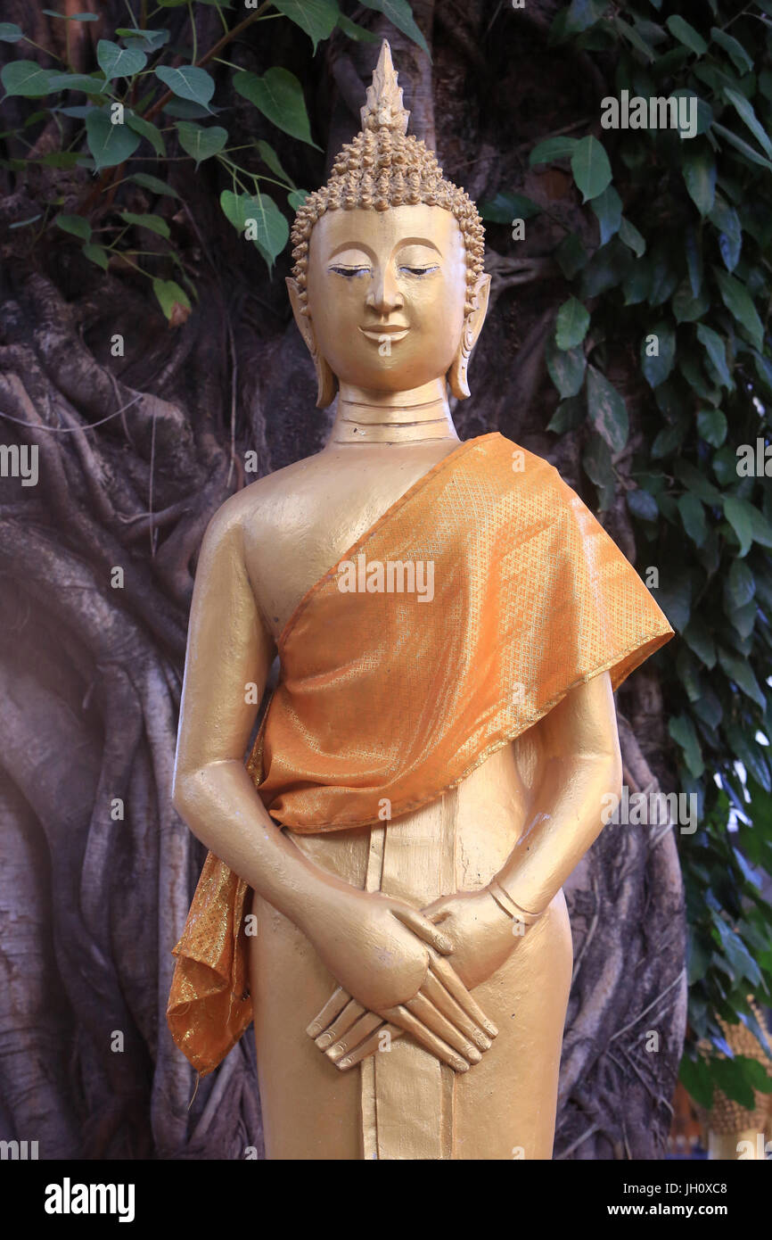 Sunday buddha hi-res stock photography and images - Alamy