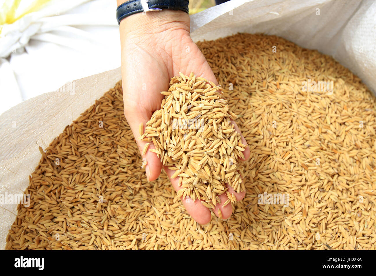 Agriculture Stock Photos & Agriculture Stock Images - Alamy