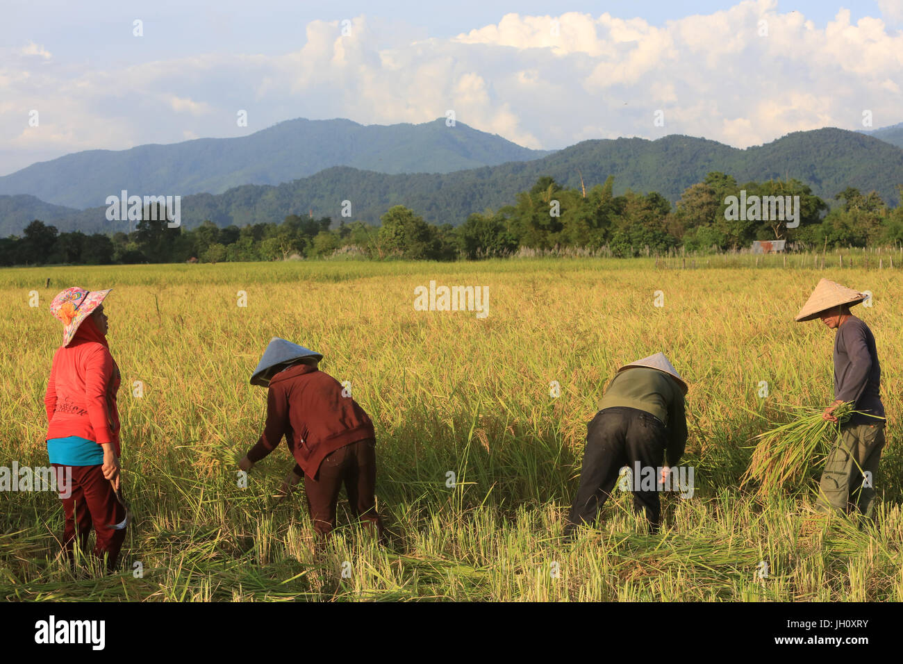 Rural farmers hi-res stock photography and images - Alamy
