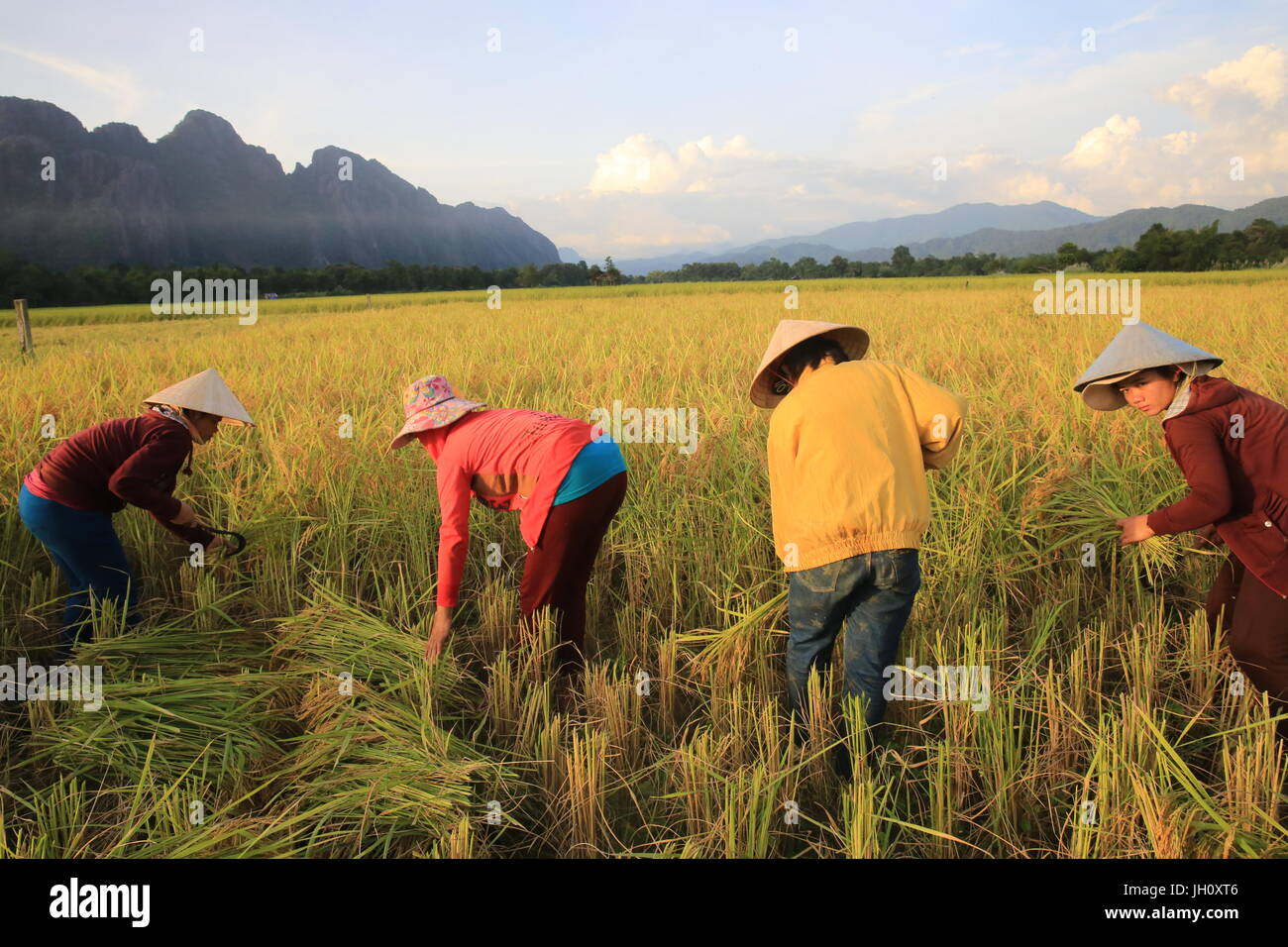 Farmers in landscape hi-res stock photography and images - Alamy