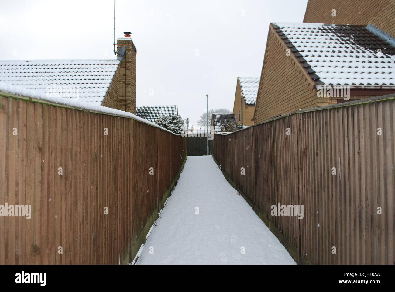 Snow covered passage between houses lined with fences in a village ...