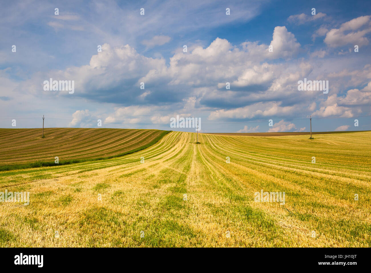Harvested empty field on the hills at sunset Stock Photo - Alamy