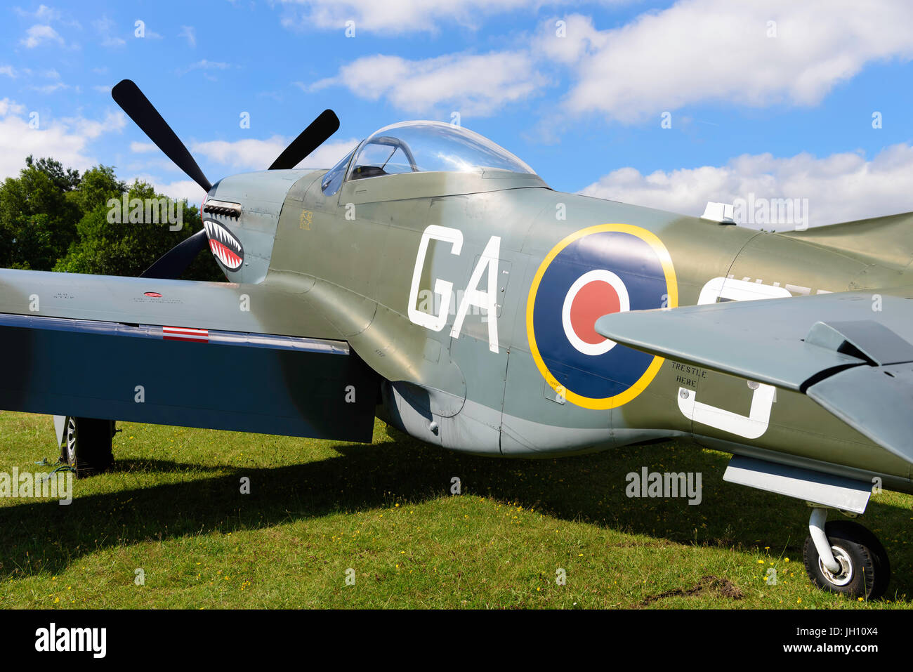Raf mustang hi-res stock photography and images - Alamy