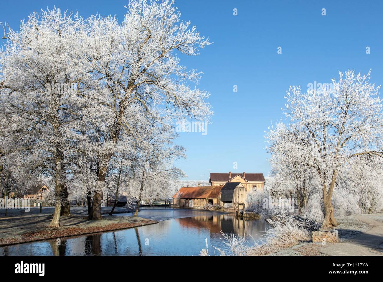 FROST IN WINTER,NORMANDY,FRANCE Stock Photo - Alamy