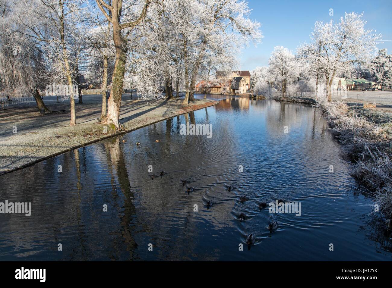 FROST IN WINTER,NORMANDY,FRANCE Stock Photo - Alamy