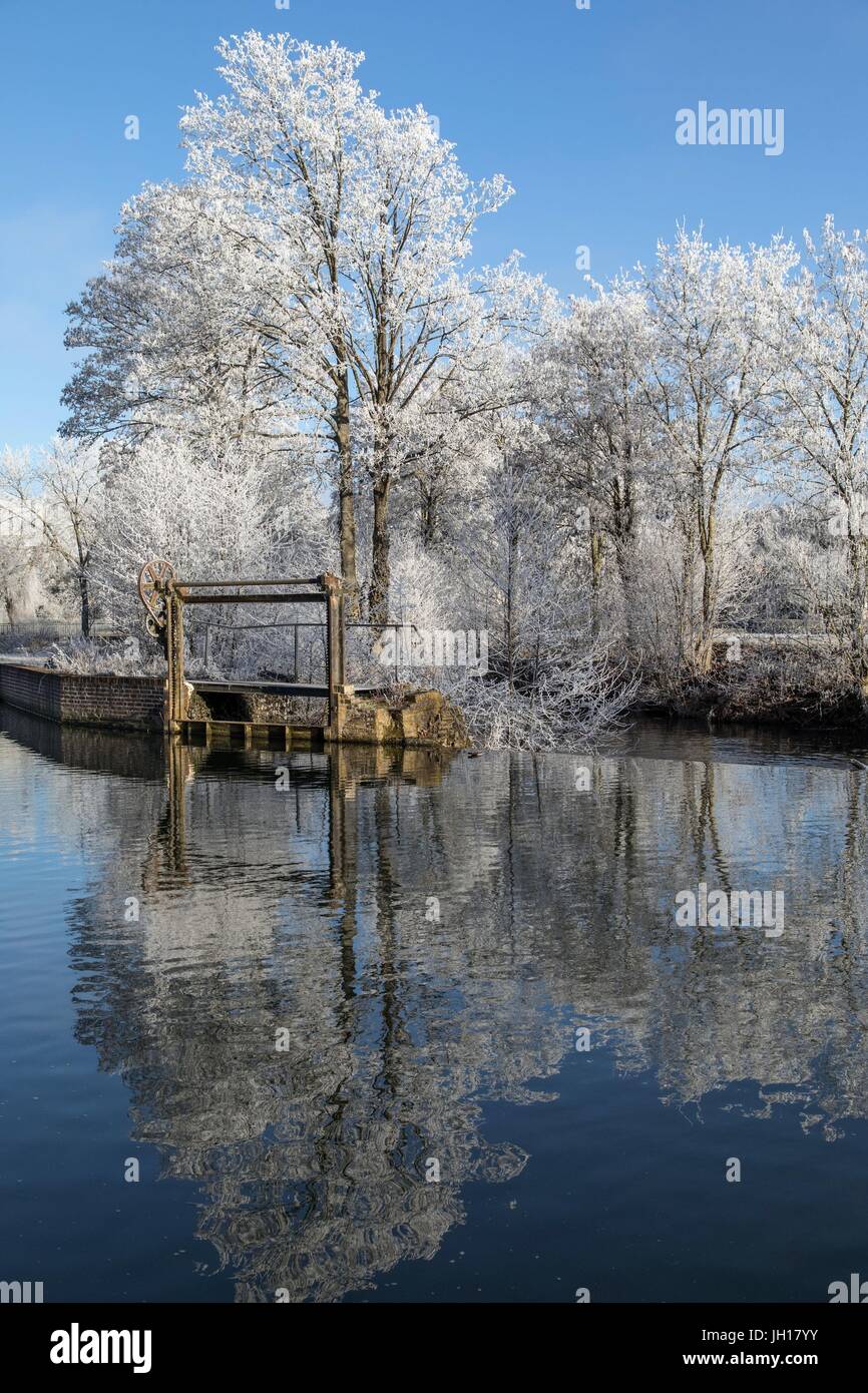 FROST IN WINTER,NORMANDY,FRANCE Stock Photo - Alamy