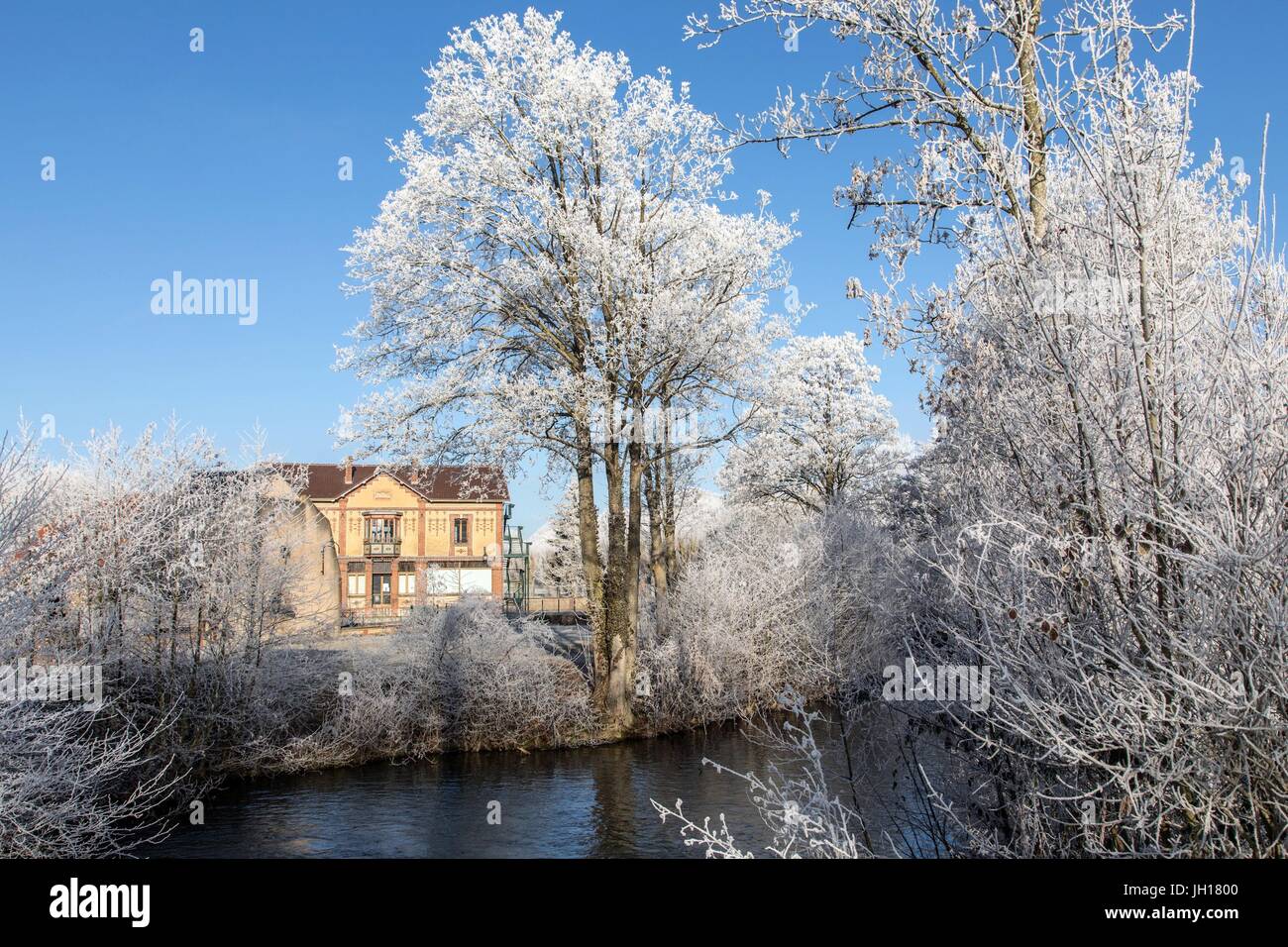 FROST IN WINTER,NORMANDY,FRANCE Stock Photo - Alamy
