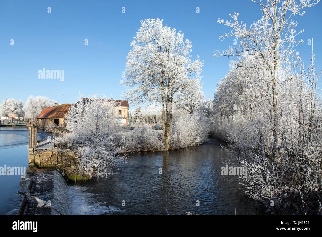 FROST IN WINTER,NORMANDY,FRANCE Stock Photo - Alamy