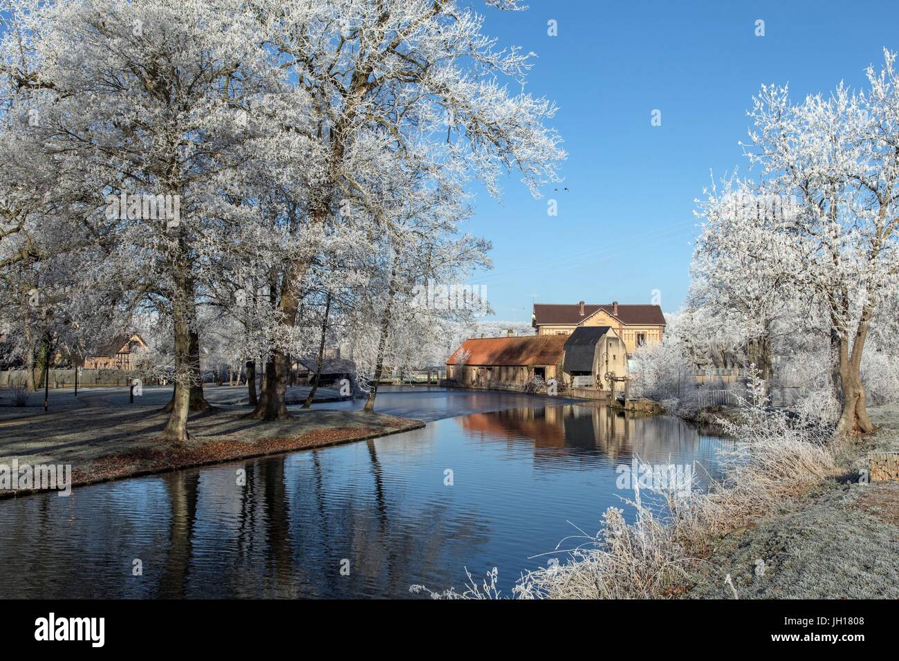 FROST IN WINTER,NORMANDY,FRANCE Stock Photo - Alamy