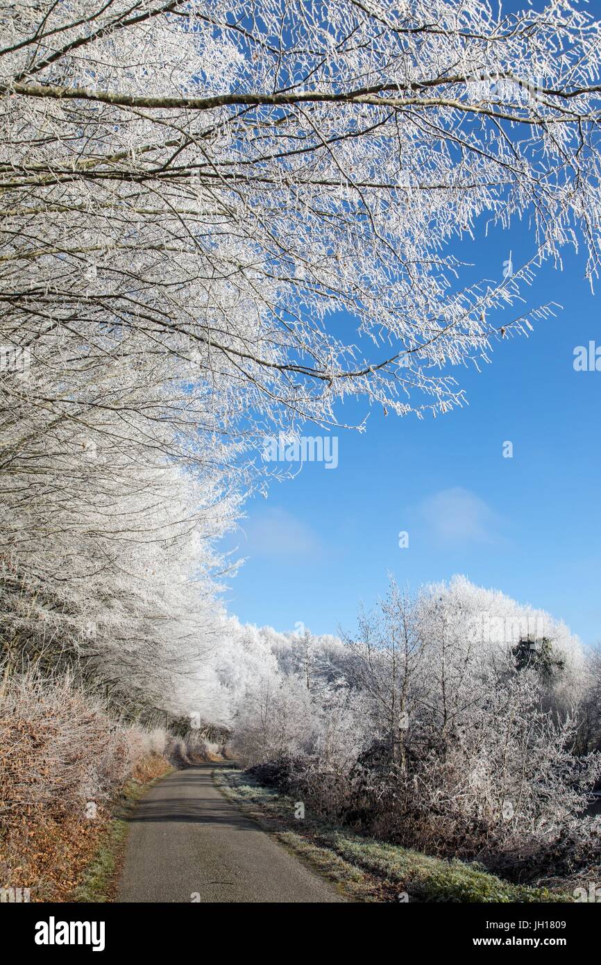 Danger tree, normandy hi-res stock photography and images - Alamy