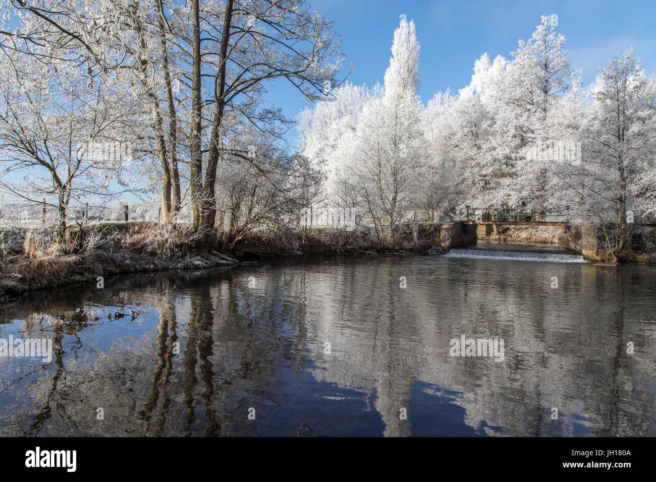 FROST IN WINTER,NORMANDY,FRANCE Stock Photo - Alamy